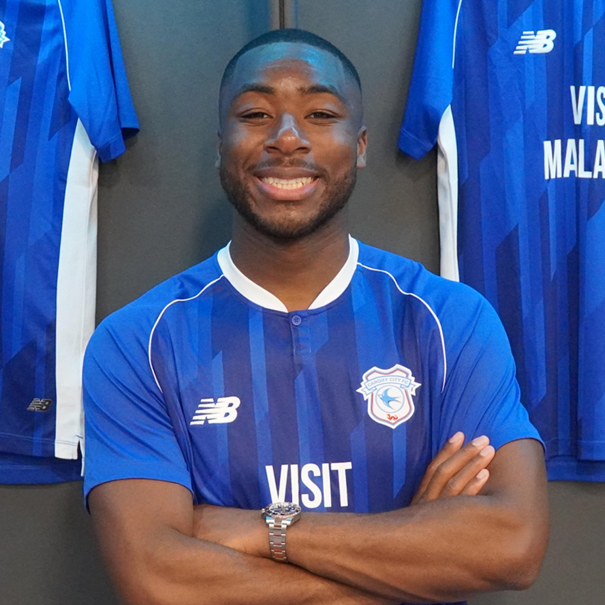 meite_temp_profile.jpg | Cardiff