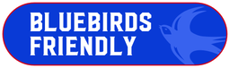 Cardiff City vs. FC Midtjylland